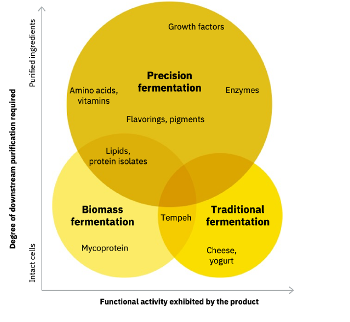 The Sustainable Recipe to Feed the World - EDBI